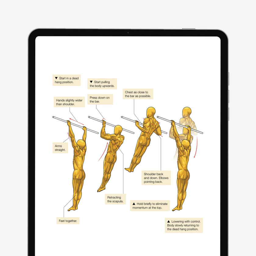 The Only Guide You'll Need for Perfect Pull-Ups (with Game-Changer Ill ...