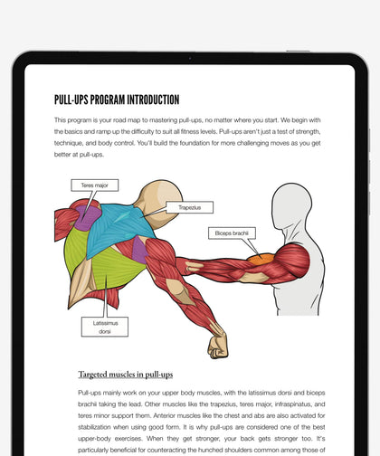 Calisthenics Playbook for Push Pull Squat (Digital book) – Gravgear