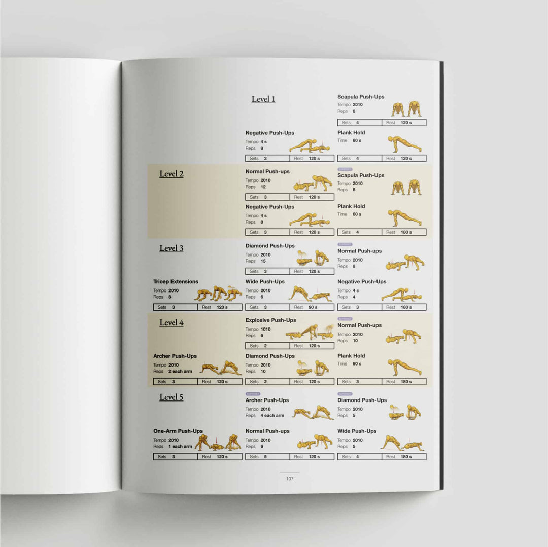 Calisthenics Playbook for Push Pull Squat (Paperback) – Gravgear